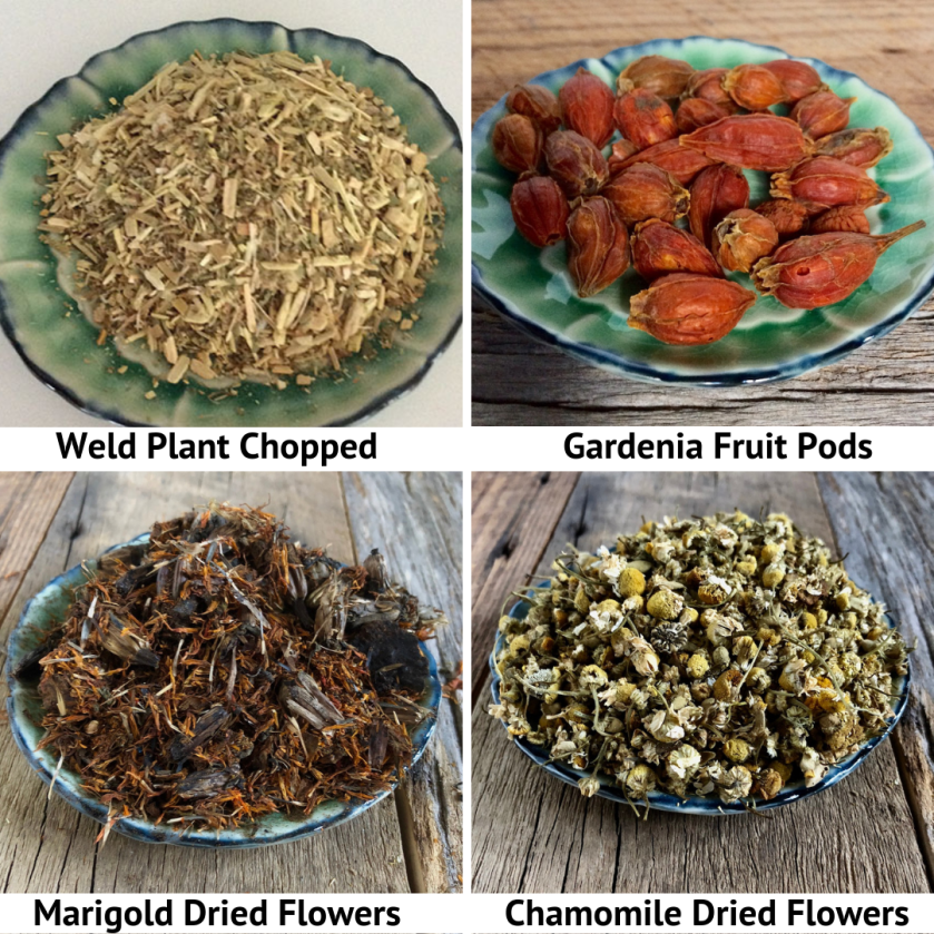 It’s All About Color – Bugs, Plants and Extracts – Madderlane